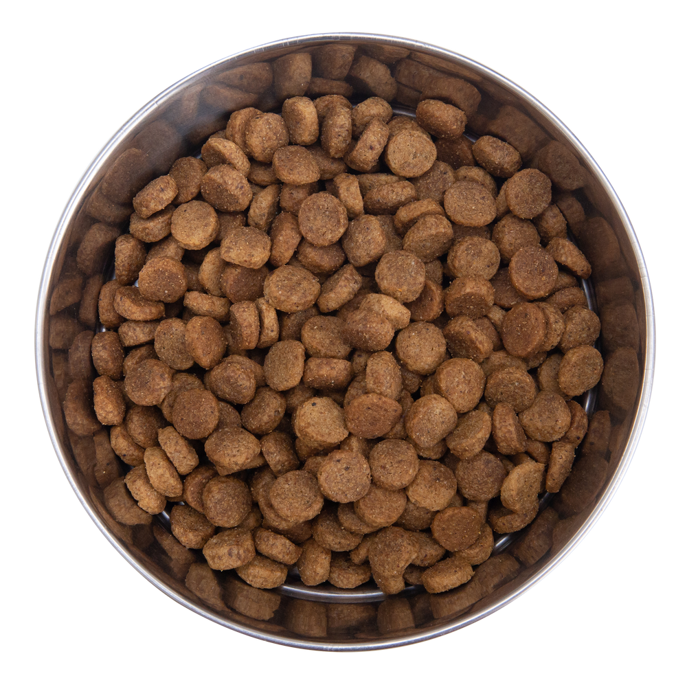 Health Extension Lite Chicken & Brown Rice Recipe Dry Dog Food